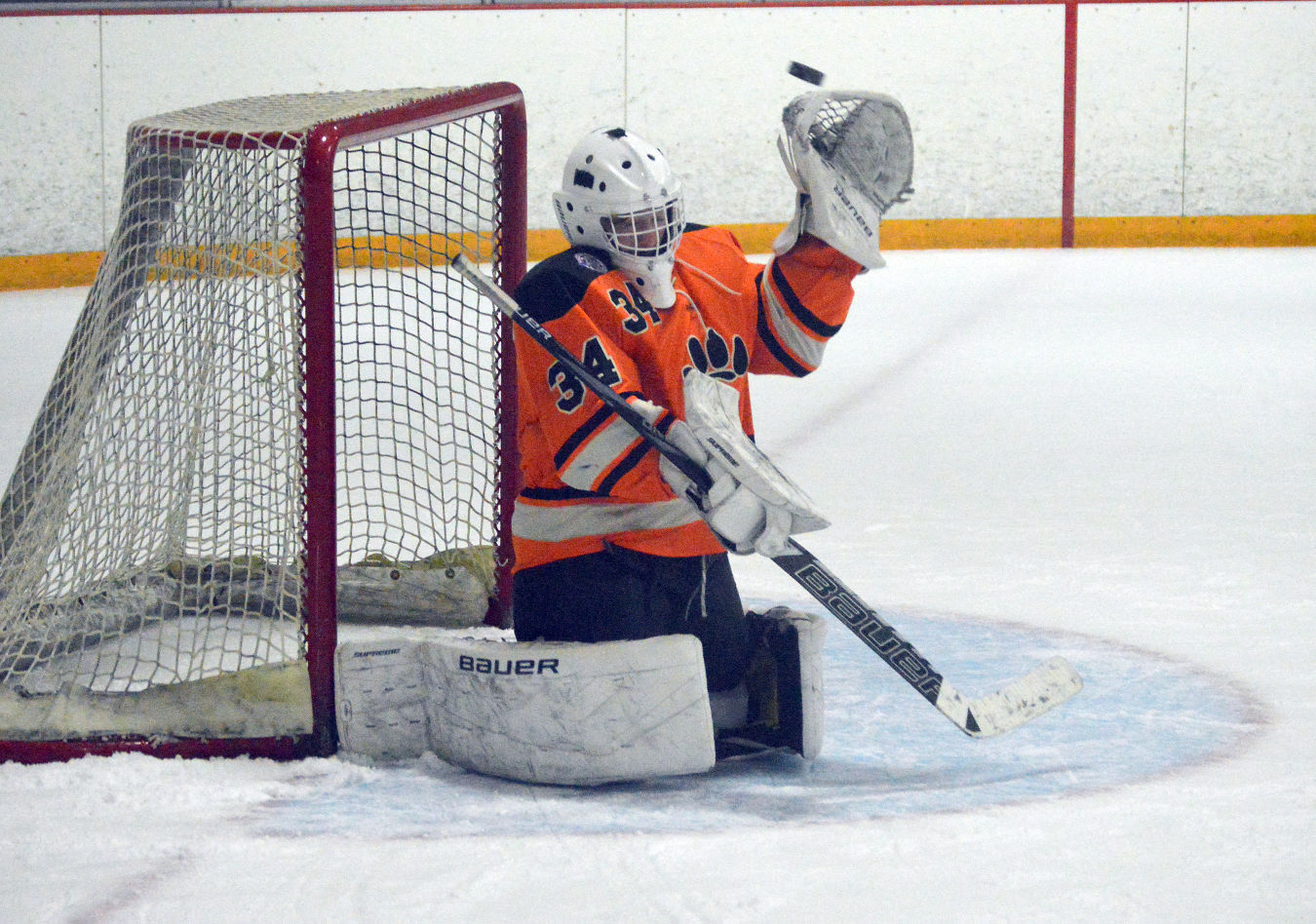 ICE HOCKEY: Tigers work quickly for Senior Night win