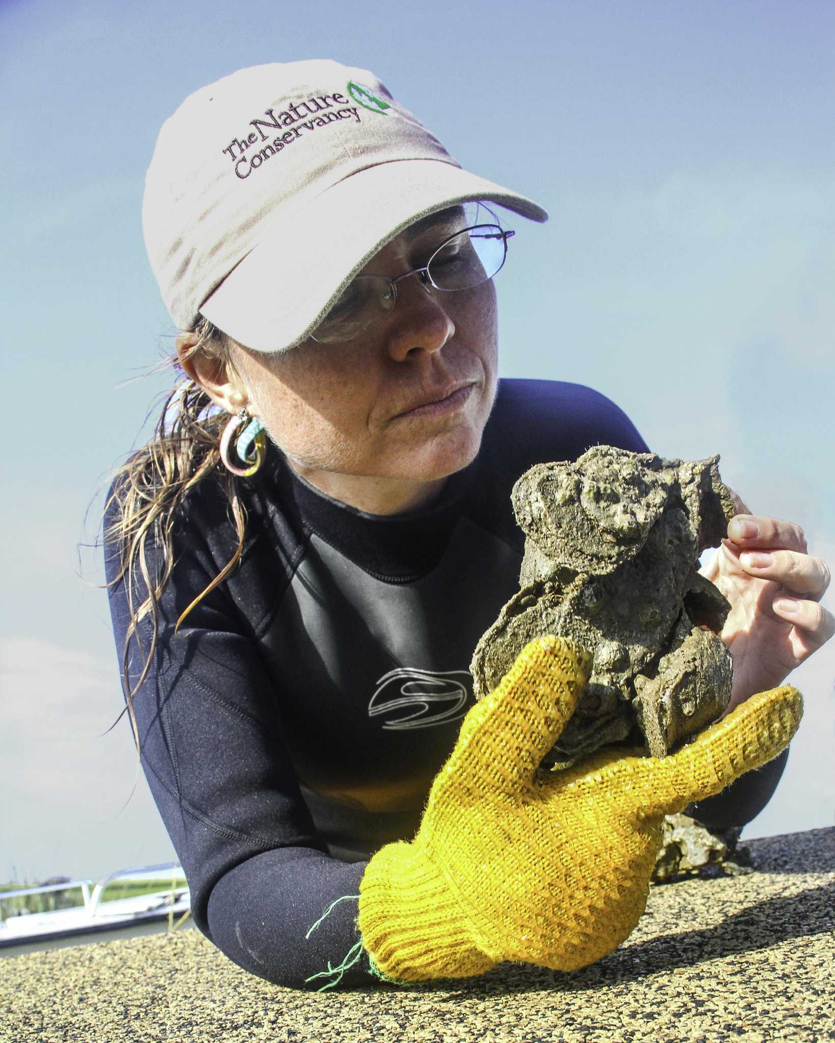 Restored reef creates booming marine life
