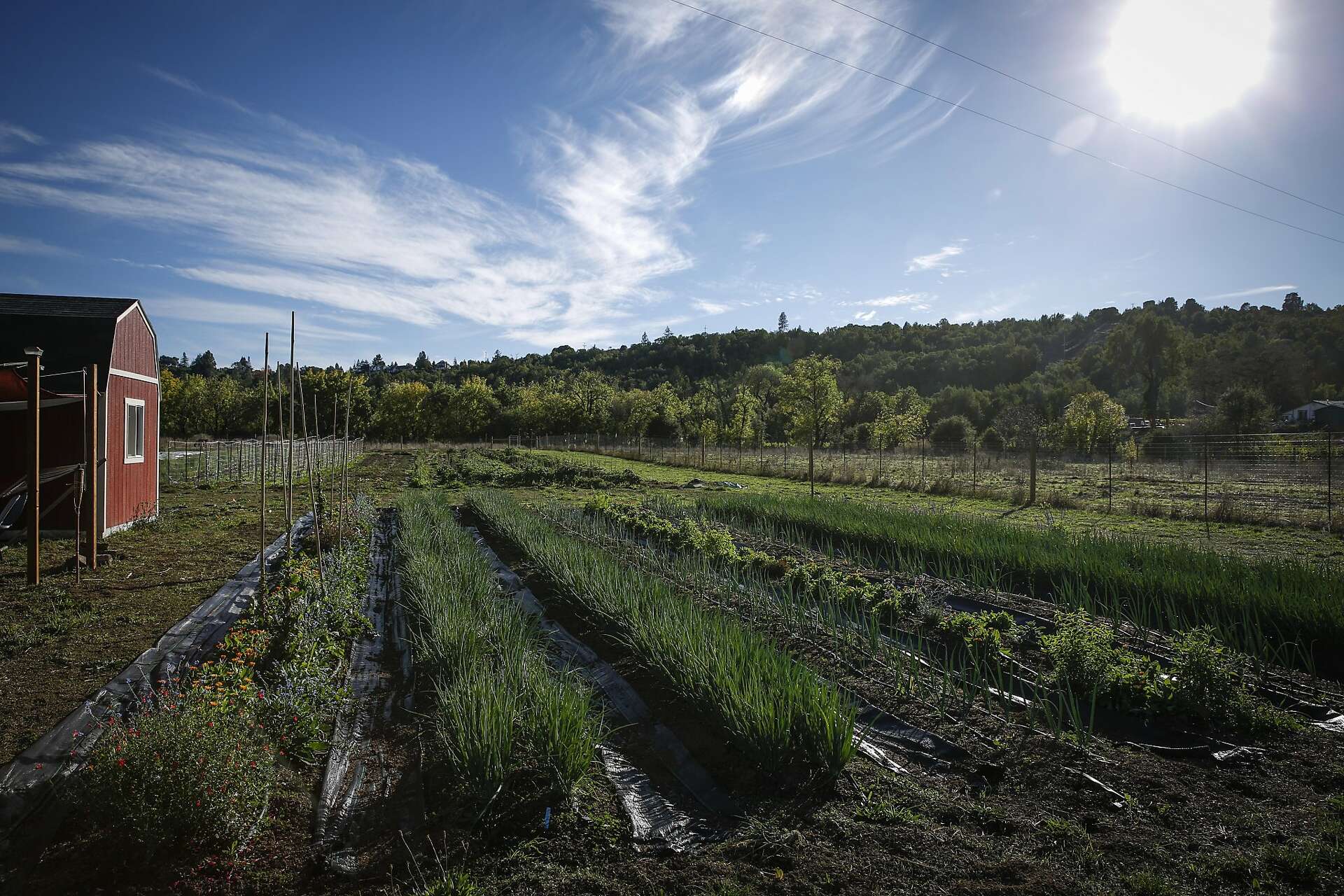 Promised land: Two lives — and big expectations — are woven into a ...