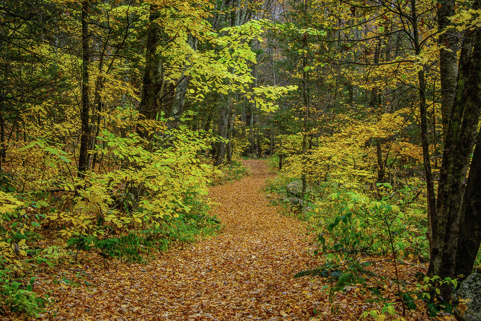 The CT spot is where to 'go off the grid' for peak foliage: Report