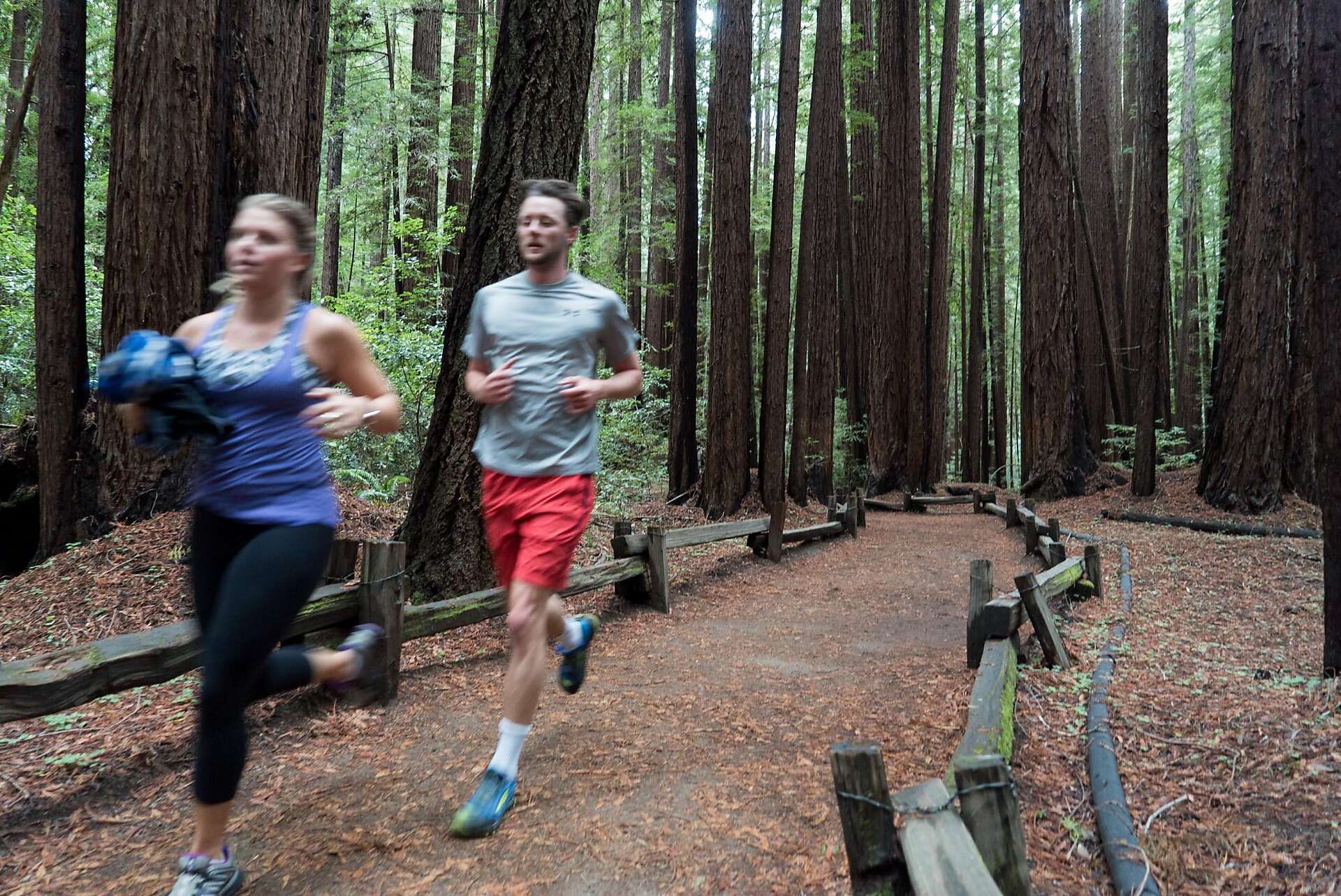 The best 'hippie towns' in the Bay Area and Northern California