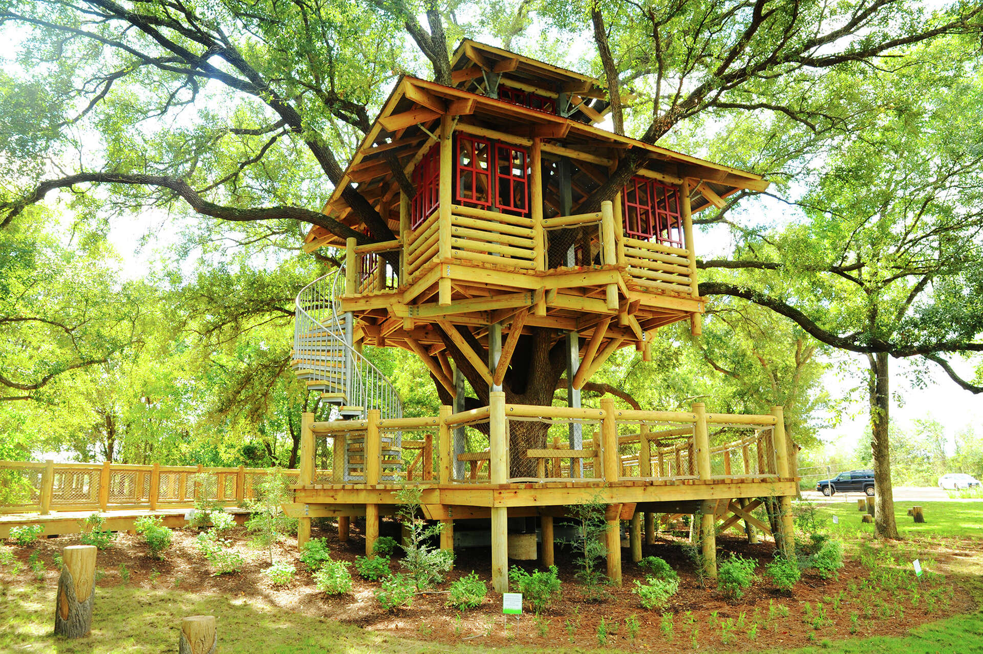 Bridgeland builds its own community tree house