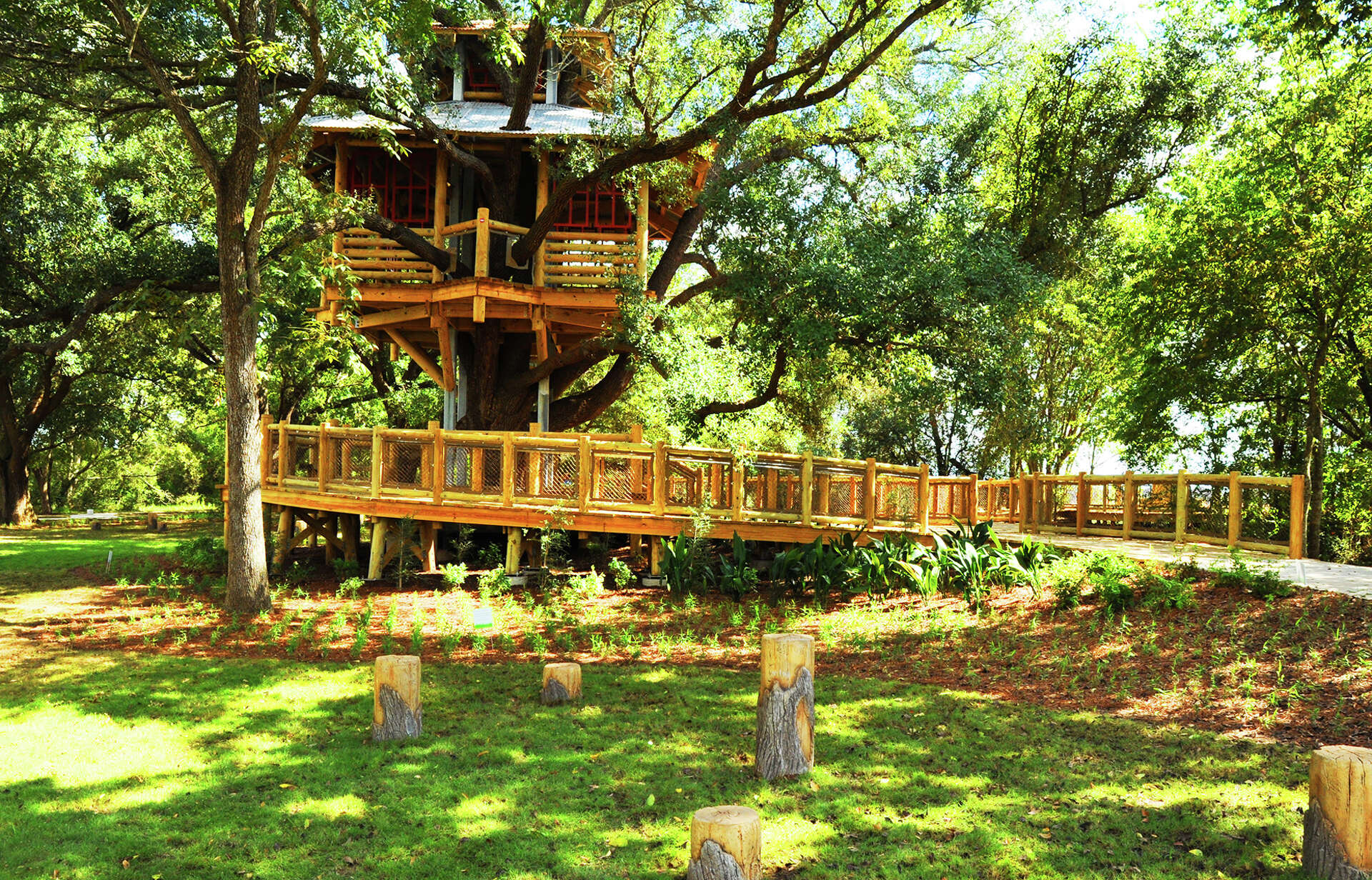 Bridgeland builds its own community tree house