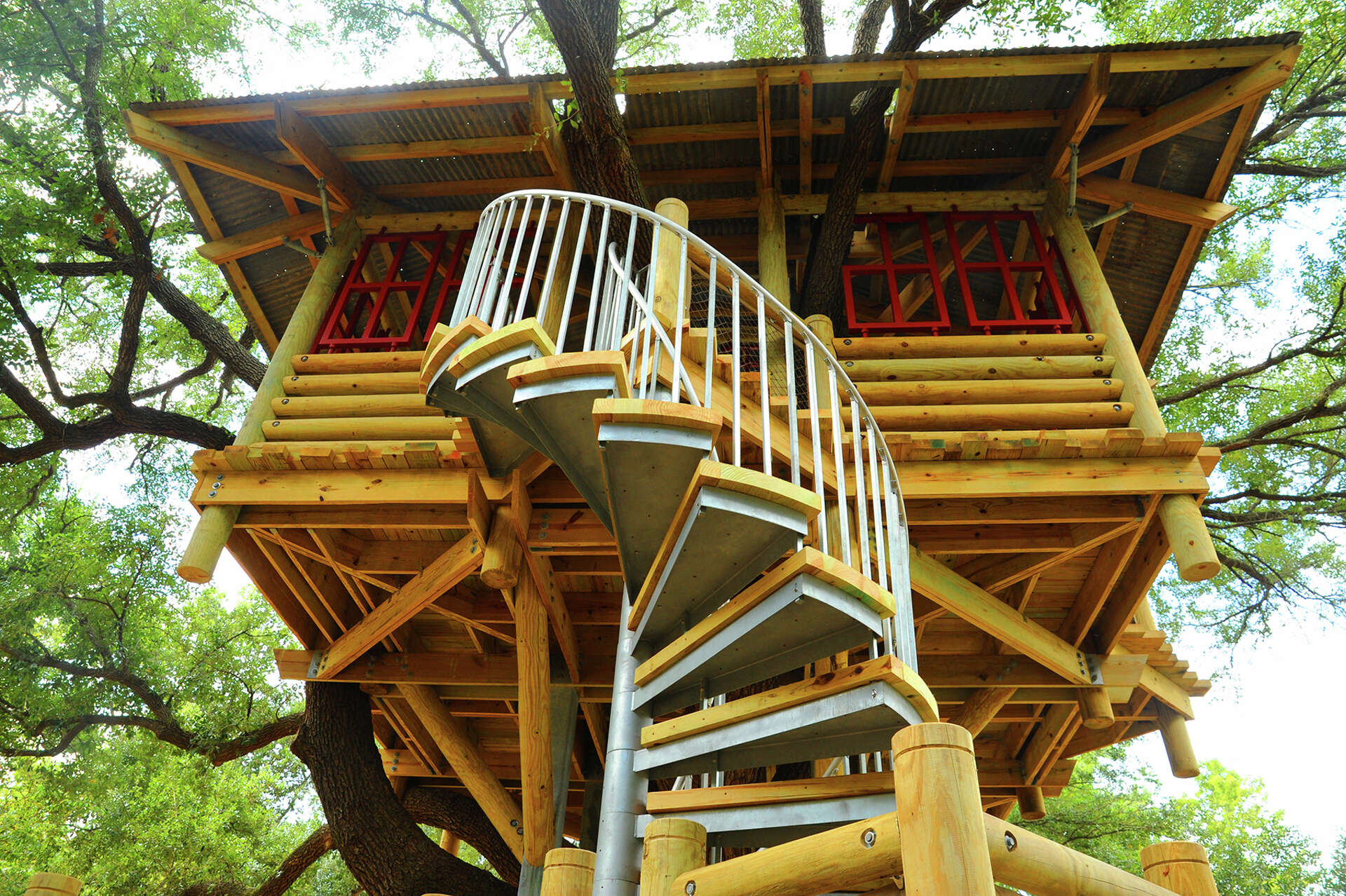 Bridgeland builds its own community tree house