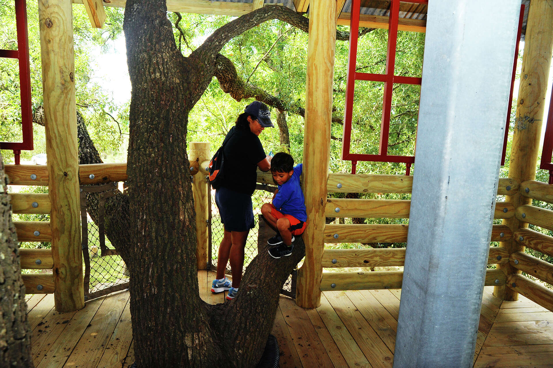 Bridgeland builds its own community tree house
