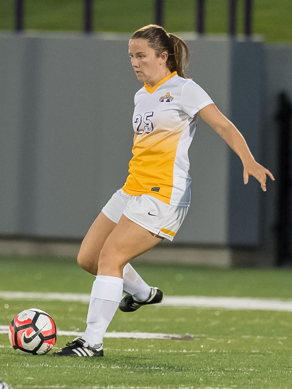 Campus watch: UAlbany soccer sets mark for league wins