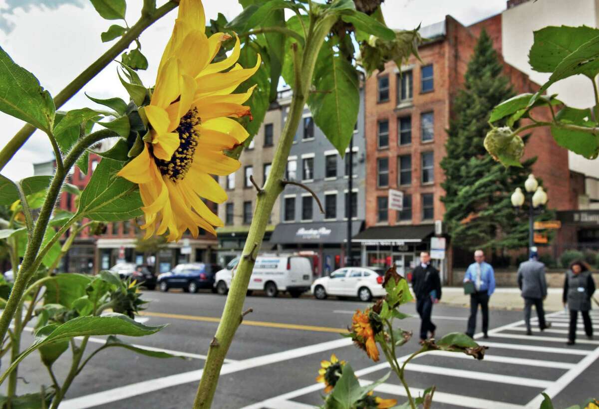 For Albany area, fall weather is here to stay