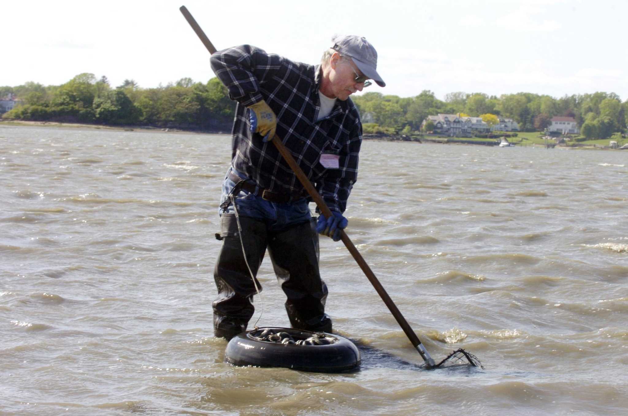 Greenwich opens shellfish beds for recreational use