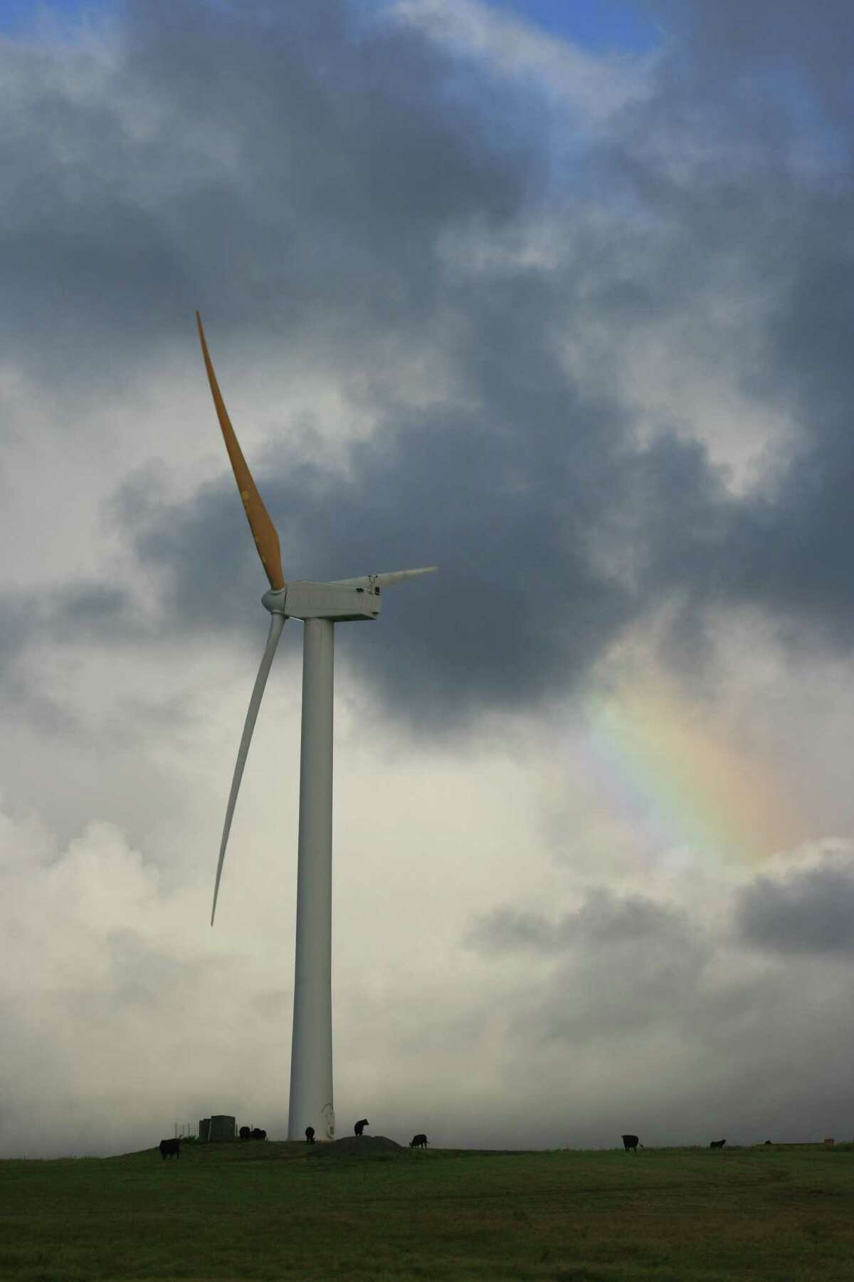 Renewable power grows quickly worldwide