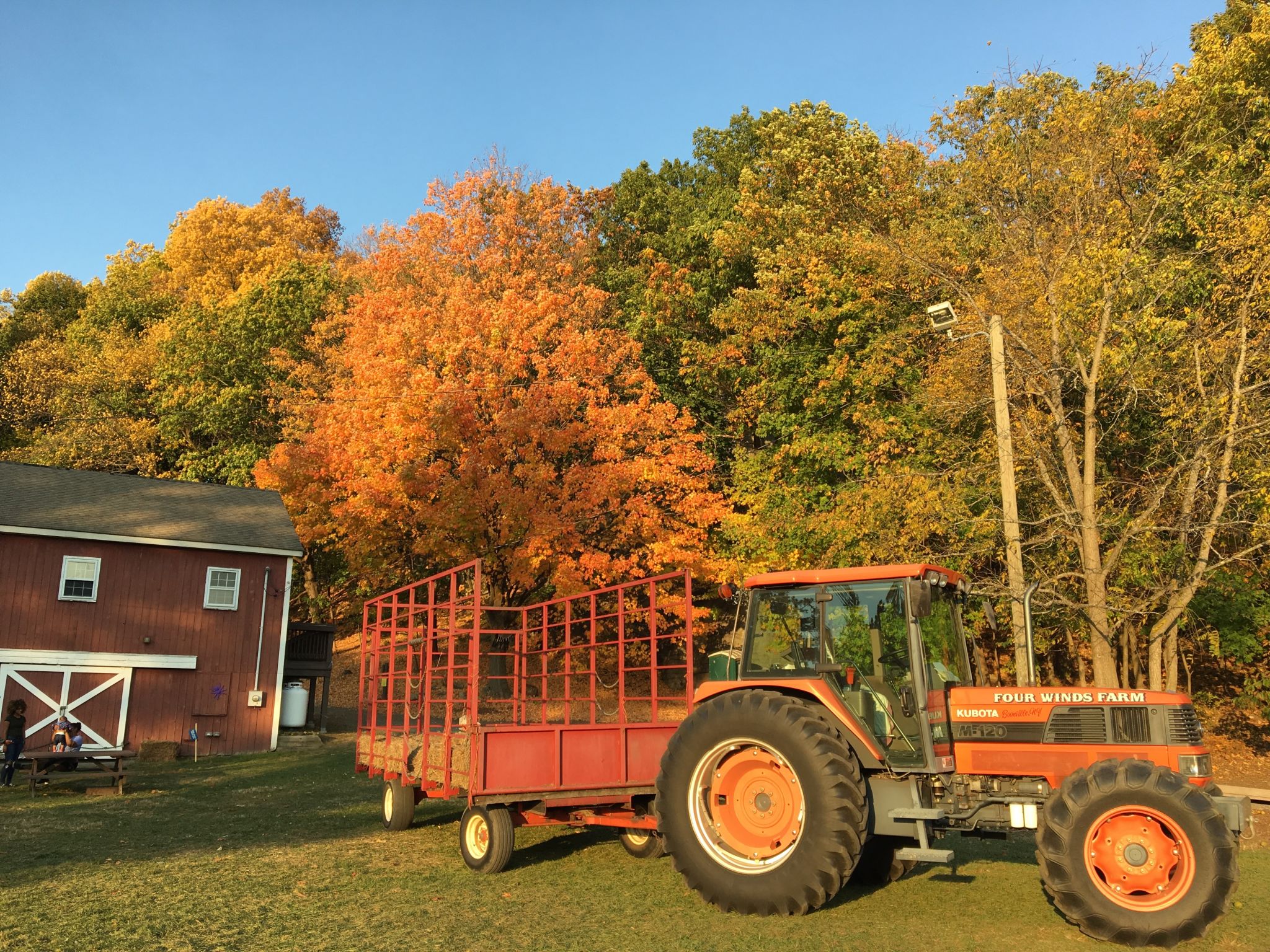 Fall foliage peaks on CT's shoreline, Danbury area this weekend