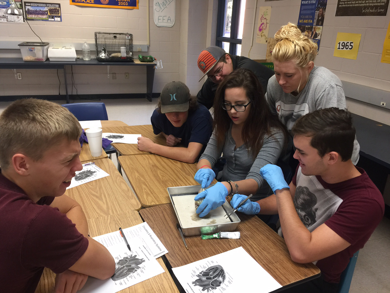 Hands-on science project