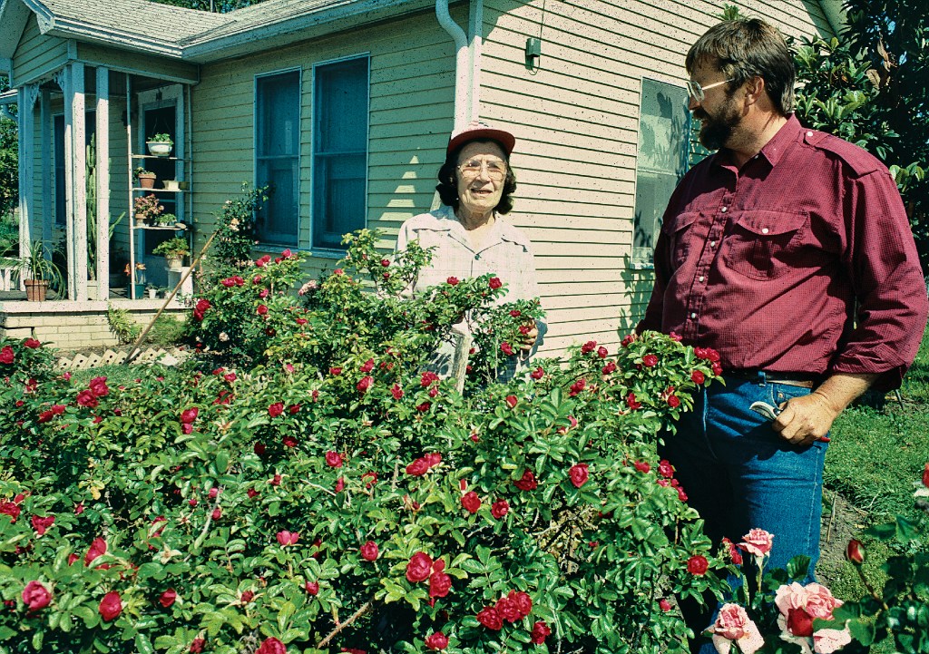 Texas Rose Rustlers work to save heirloom varieties