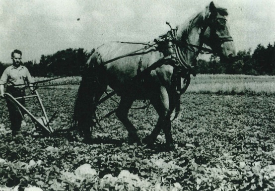 Voices of Faith: Immigrant farmers of bygone era an inspiration for today