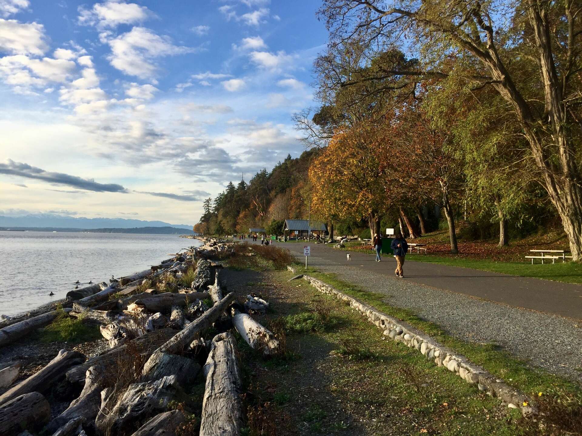 Seattle ranks among the most walkable cities in the US, but what is the ...