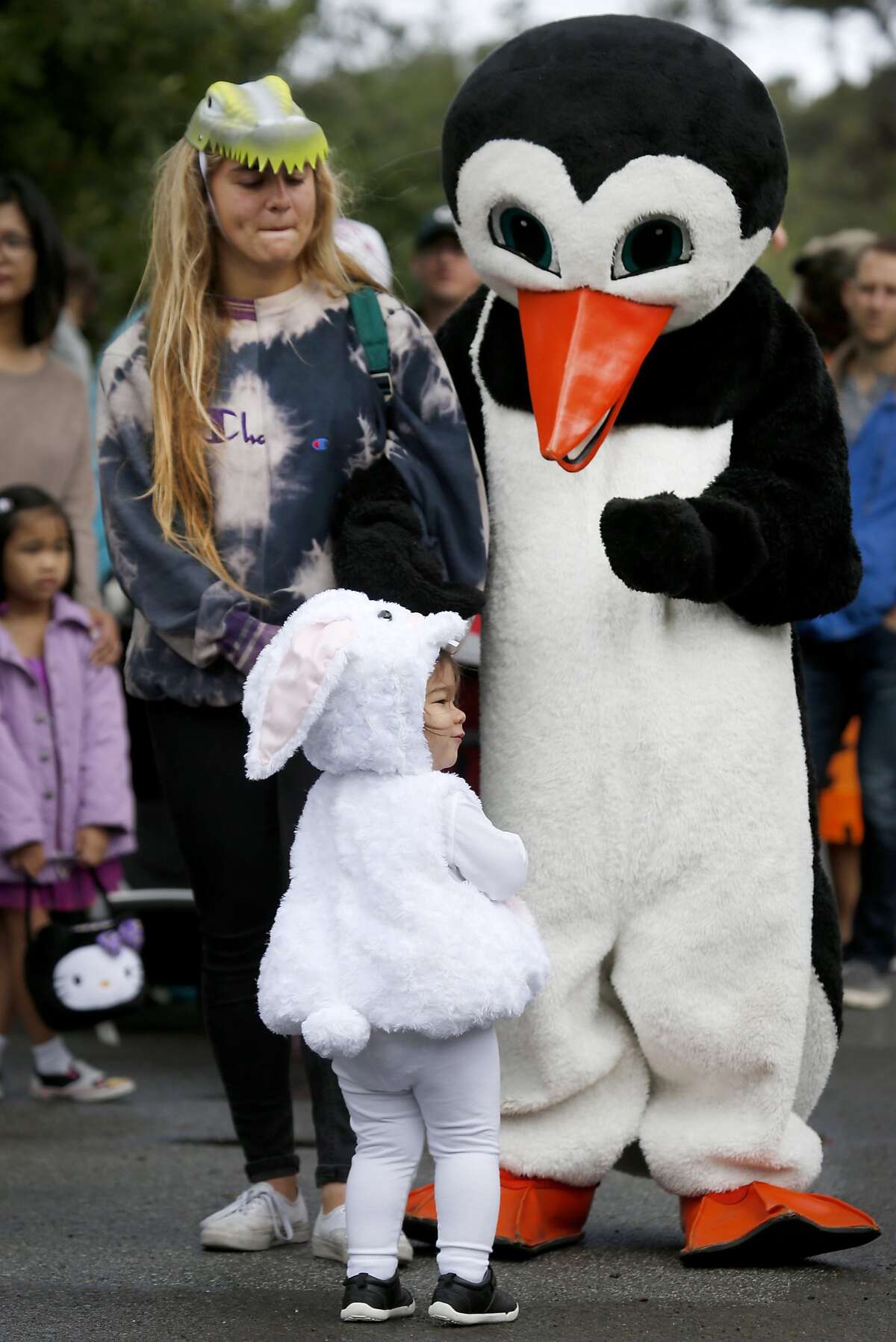 Costumed kids join zoo animals for a day of Halloween fun