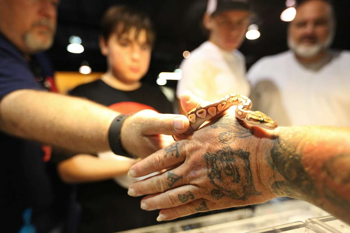 Repticon returns to Houston with slithery lizards