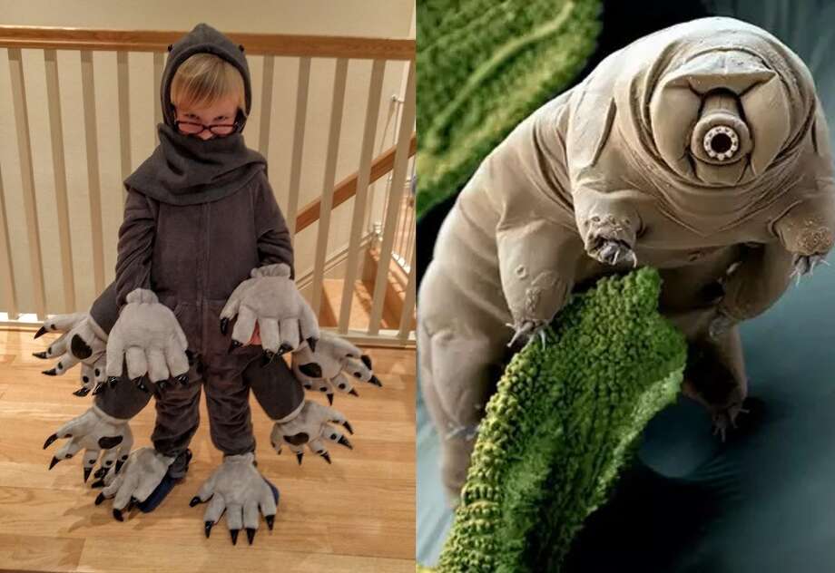 Super-Crafty Halloween Costume Contest 2016: The entries are here! - SFGate