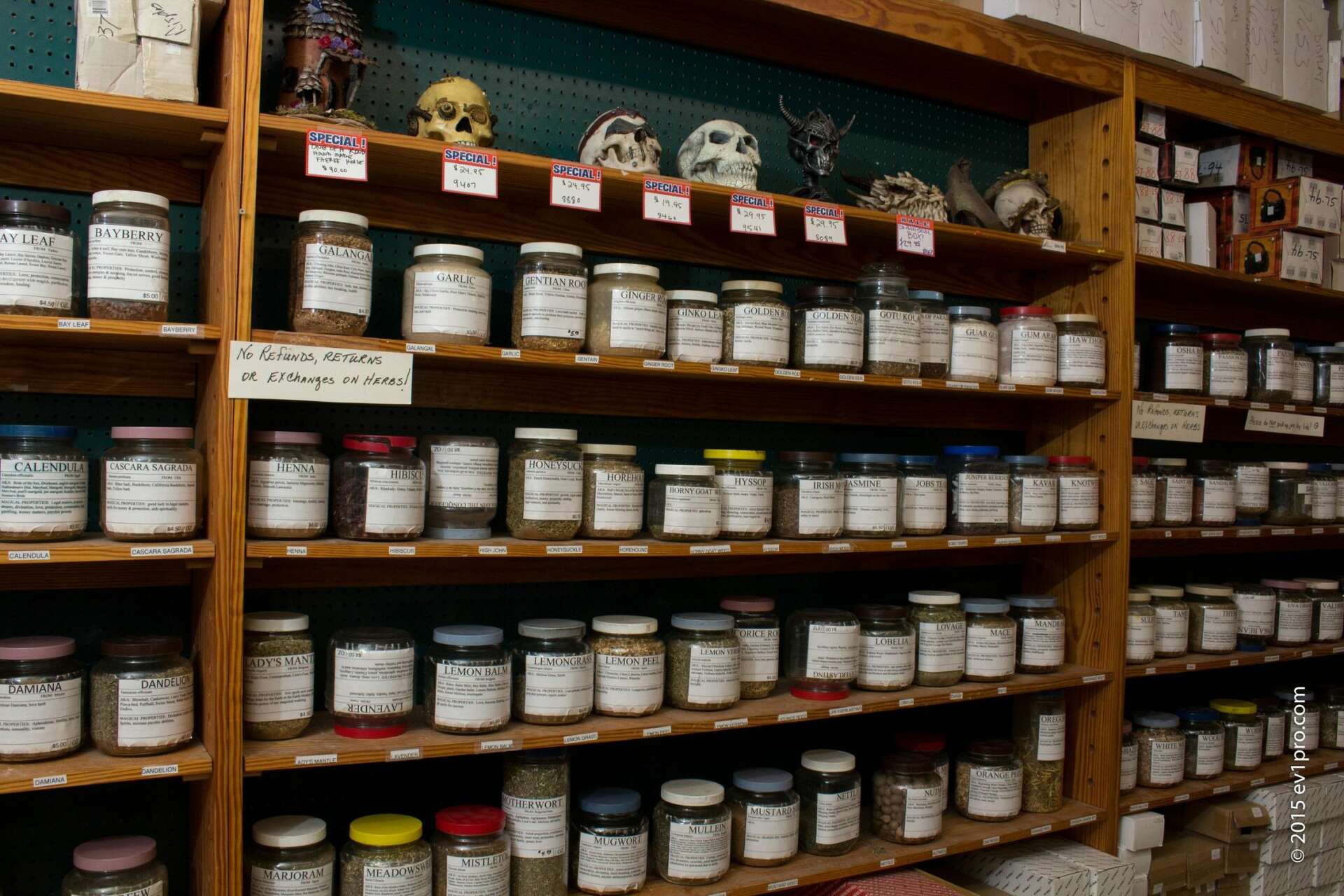 Houston's most unique, weird stores