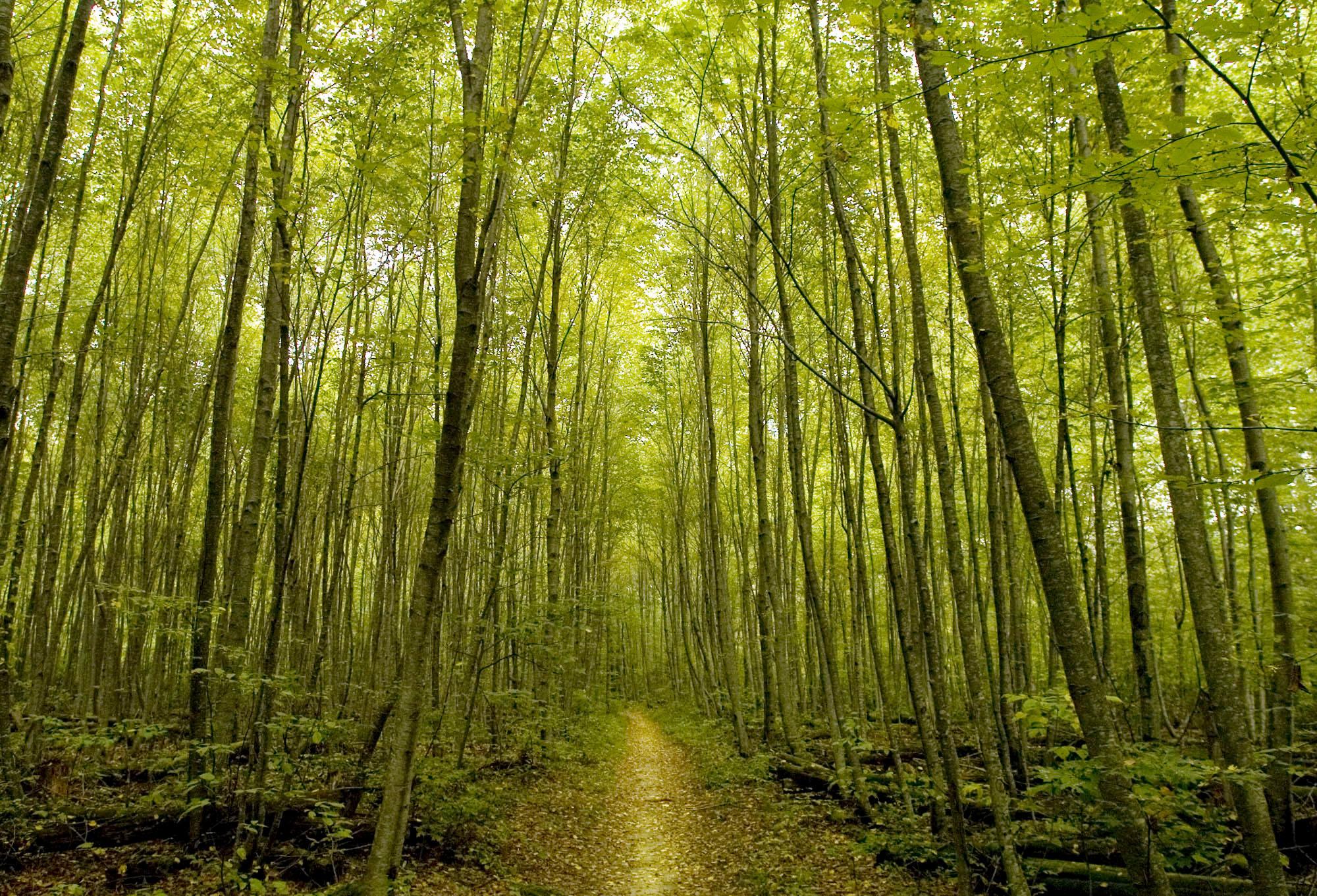 Kent is the most beautiful town in state, says travel company