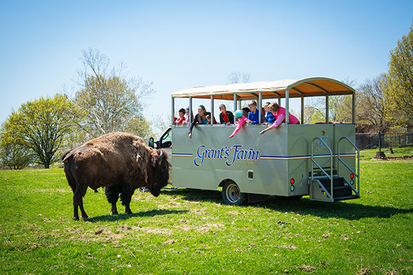 Grant's Farm ready to open for 61st season