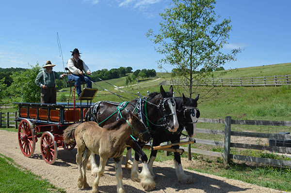 Hermann Farm and Museum open for tours