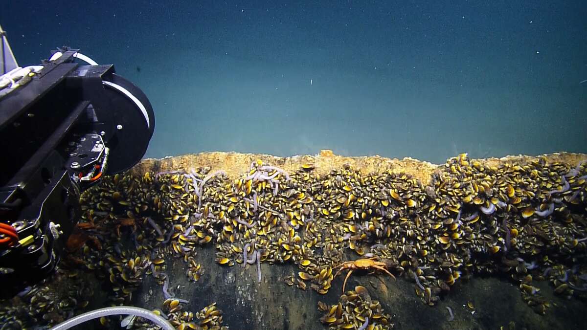 Watch the moment explorers enter the 'Jacuzzi of Death'