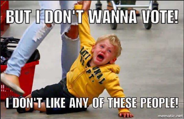 Meme-ing toward the election