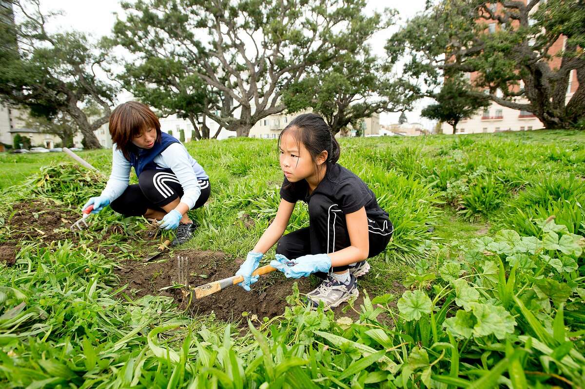 Lake Merritt stroller winds up leading restoration of labyrinth