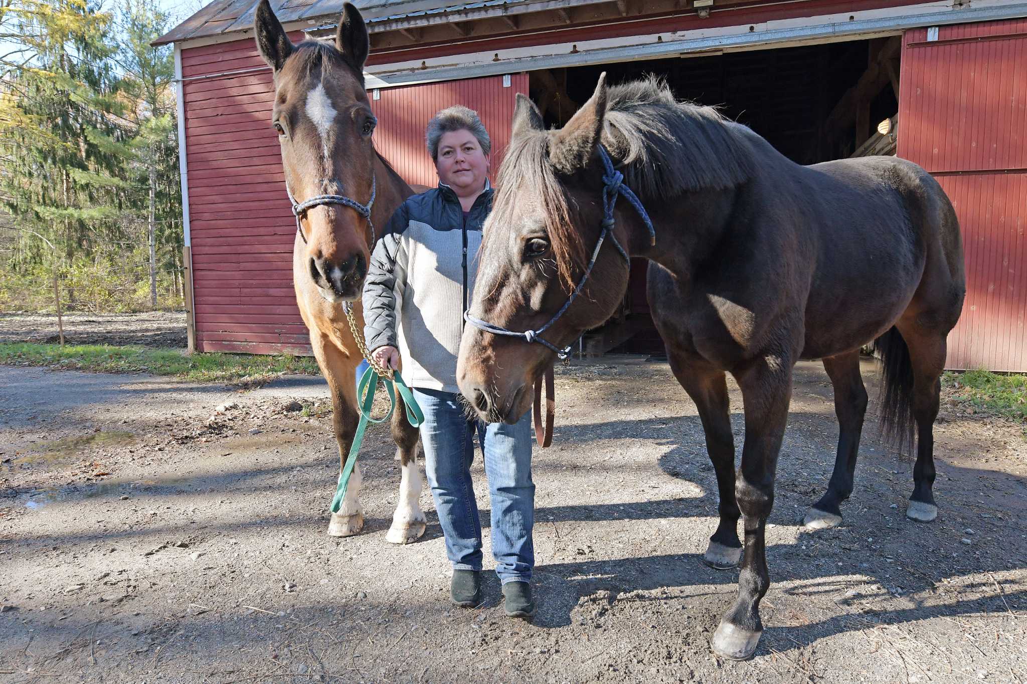 Saratoga Spa State Park retiring its horses