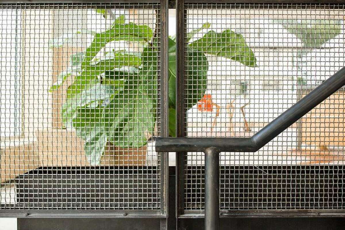 Creative San Antonio office designs make work a pleasure