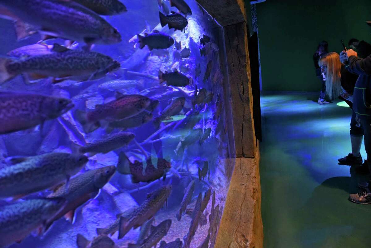 Rotterdam aquarium opened Saturday