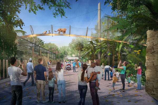 Zoo of Tim Morrow: How a former amusement park executive is flipping an ...