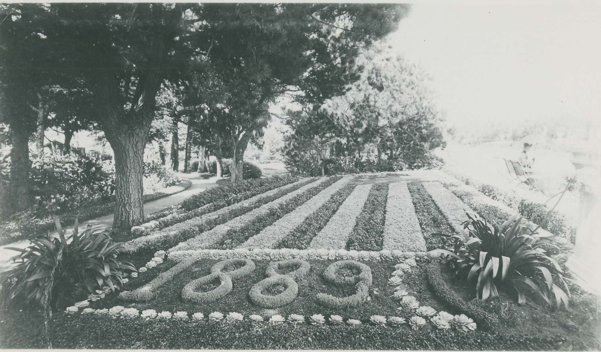 Historic photos capture former glory of Adolph Sutro's once grand San ...