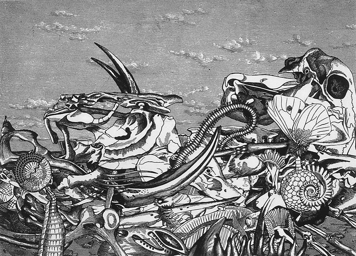 Smaller Bruce Conner exhibits not to be missed