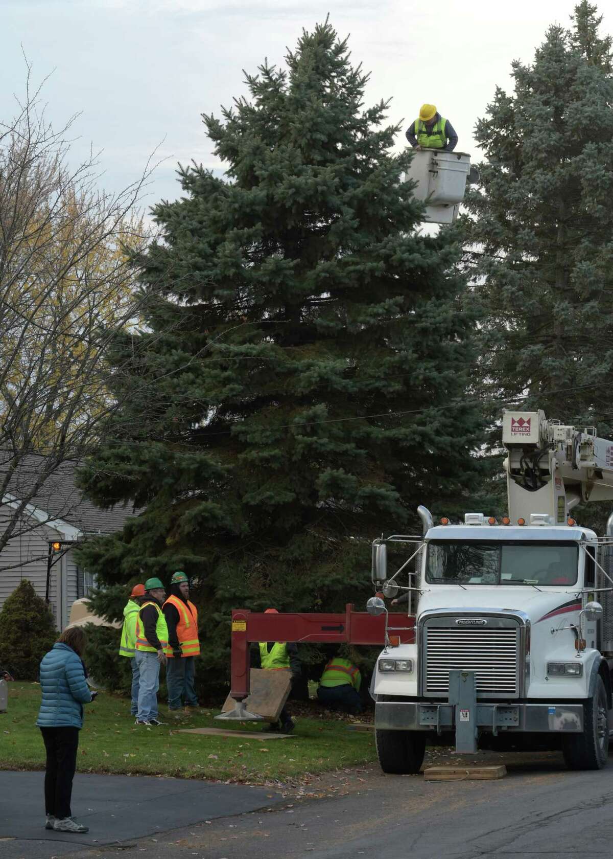 Colonie family donates tree for Capitol park