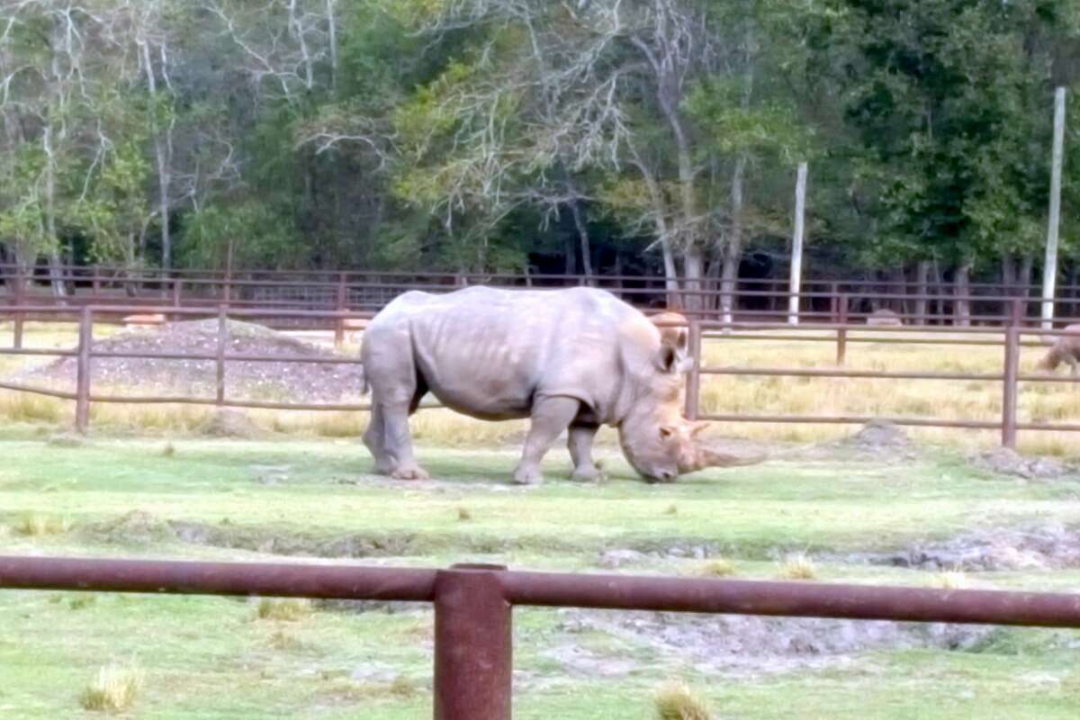 Facebook user questions giraffe care at Bayou Wildlife Zoo