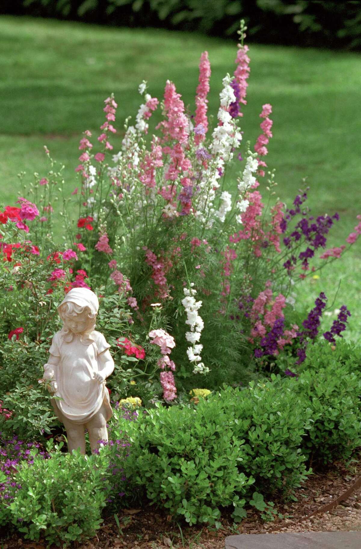 Calvin Finch: Cutting flowers for the landscape