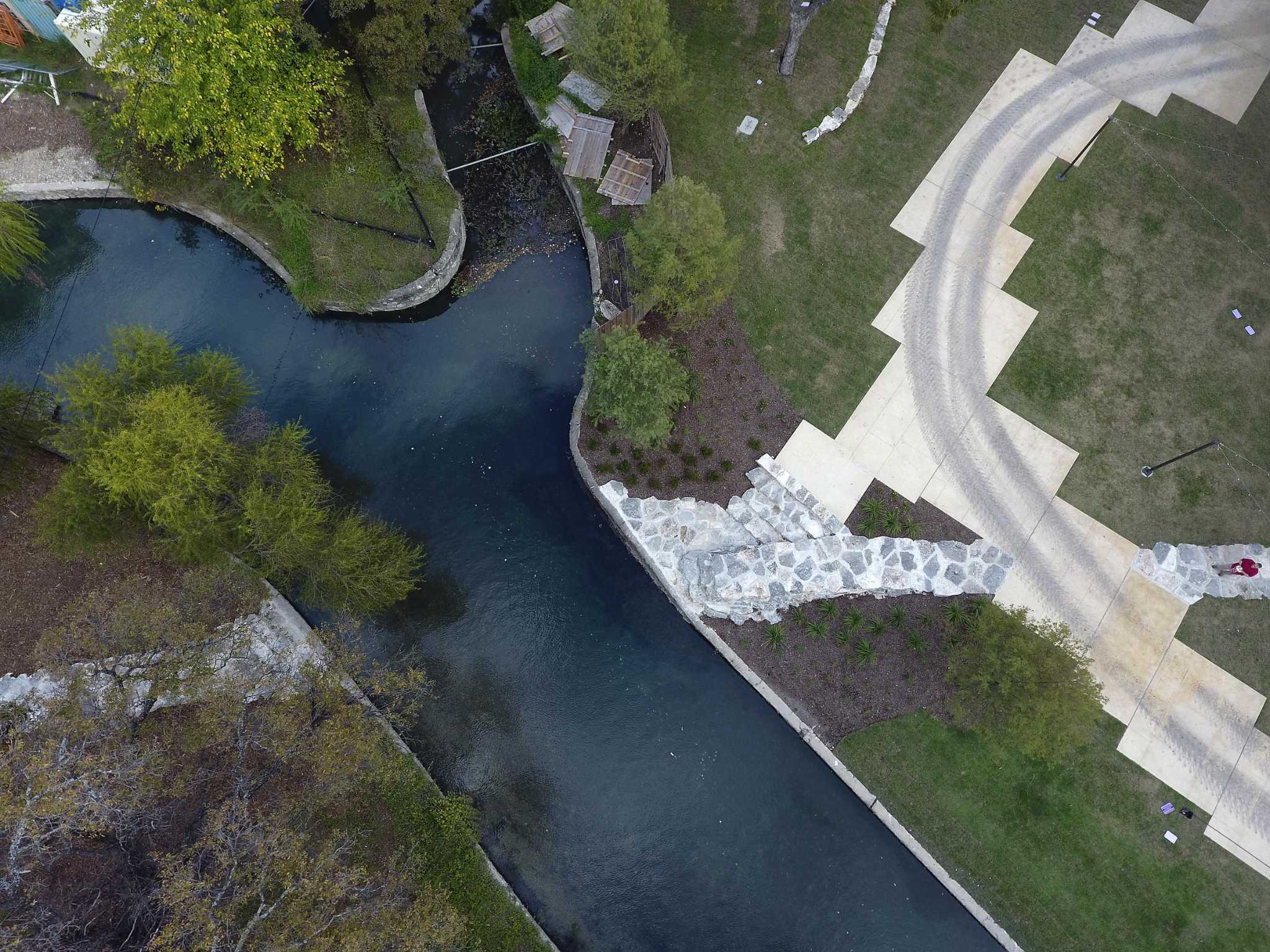 New Witte to emerge in 2017