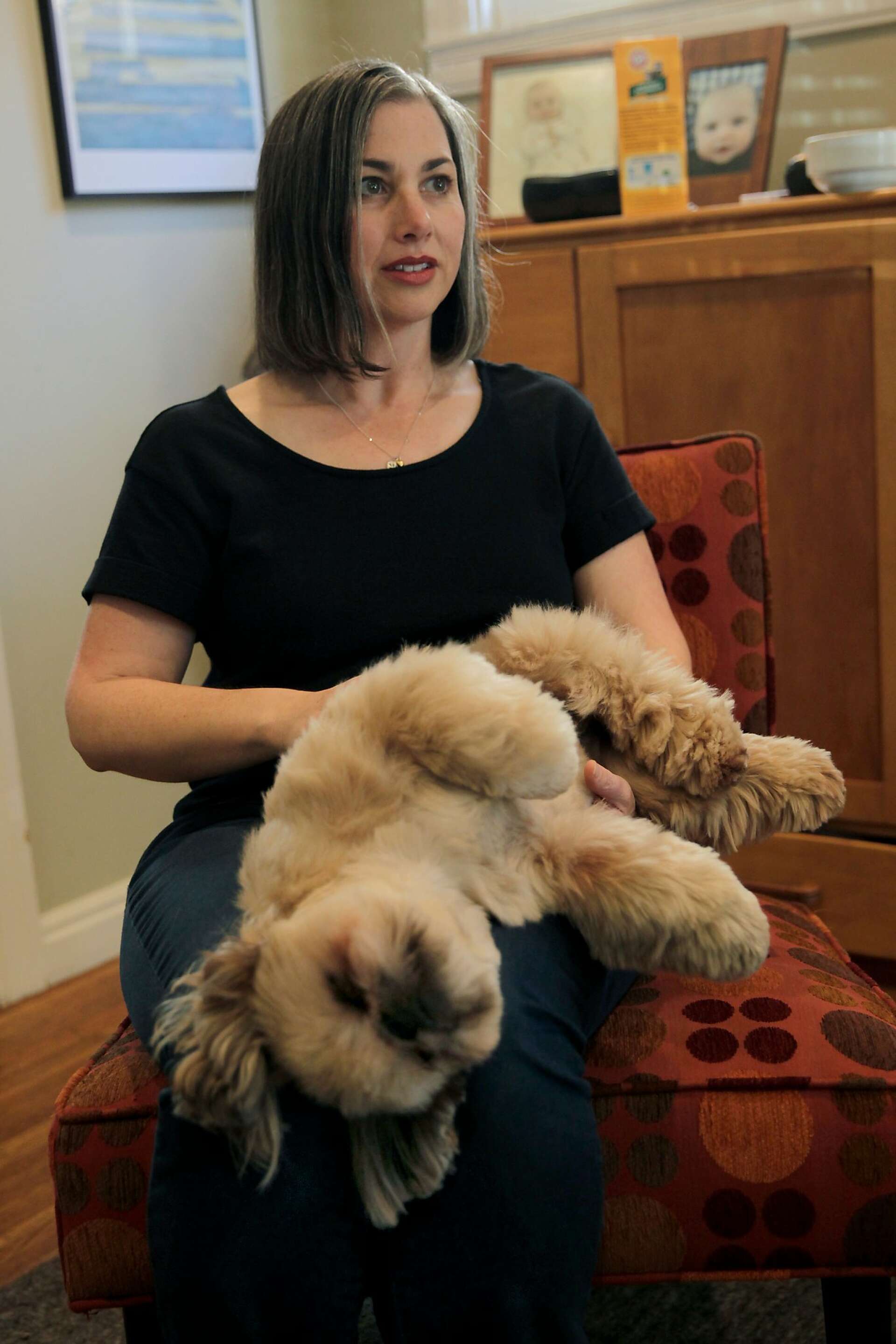 Companies woo animal social media stars