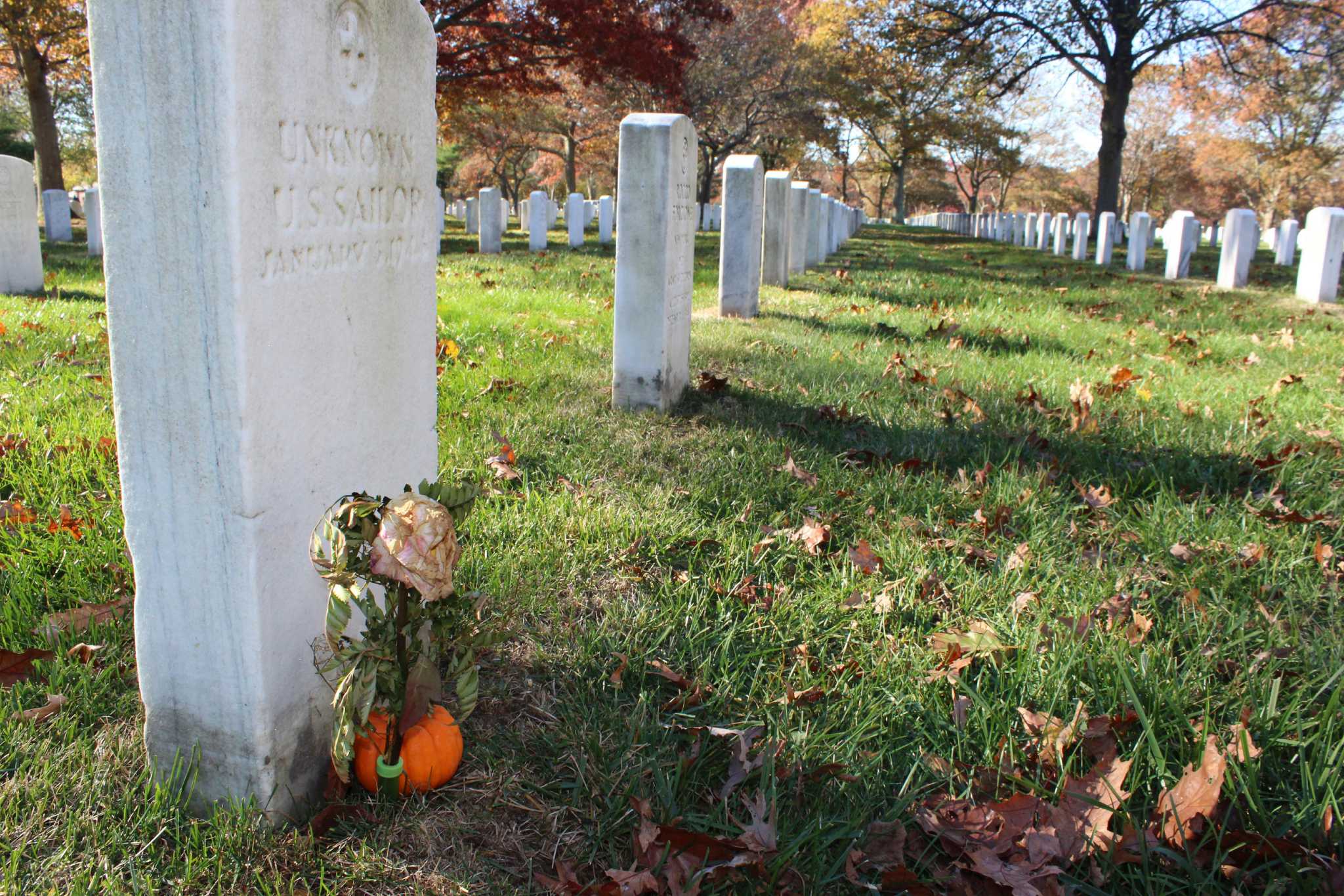 World War II mystery: Are 'missing' sailors actually in N.Y. cemetery?