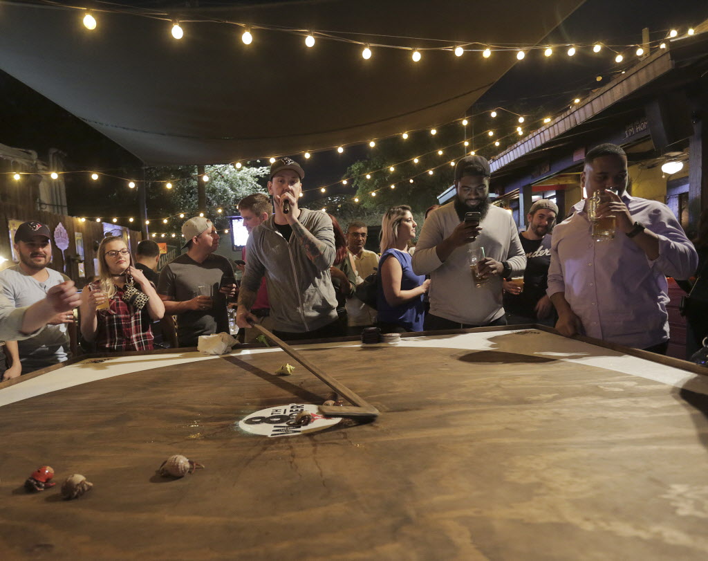 It's Tuesday. Crab racing in Eado?