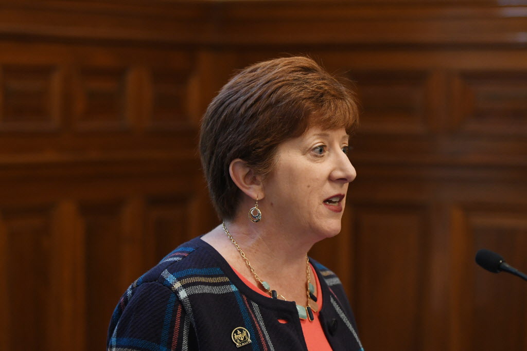 Sheehan cites 'falsehoods' from council foes