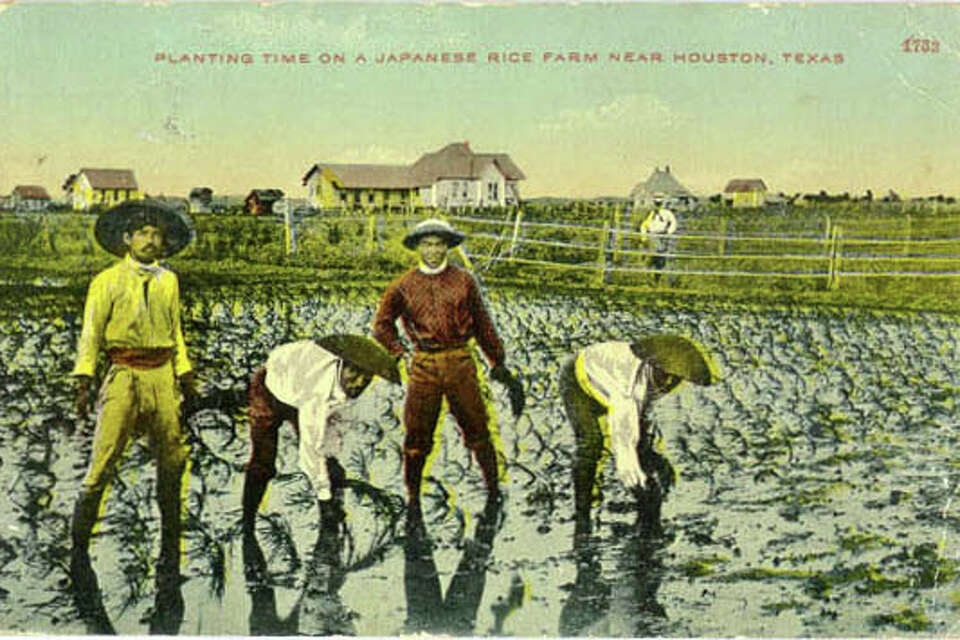 The history of Houston food