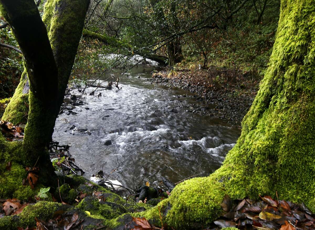 The best 'hippie towns' in the Bay Area and Northern California