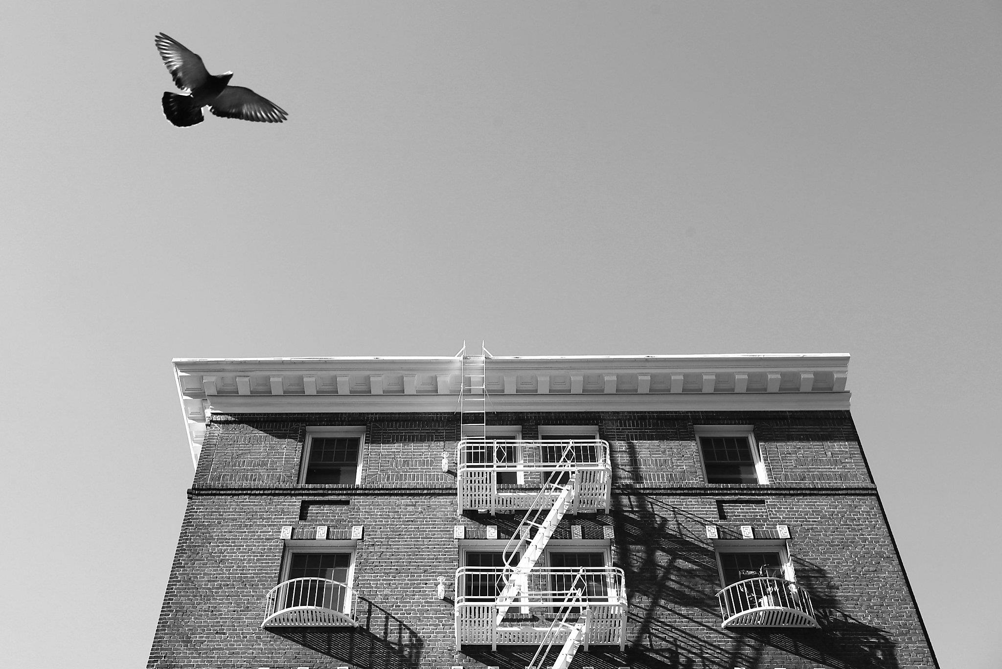 San Francisco SROs - San Francisco Chronicle