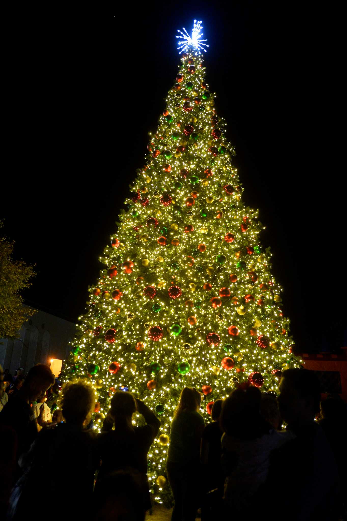 Hot Pick: Christmas Tree Lighting
