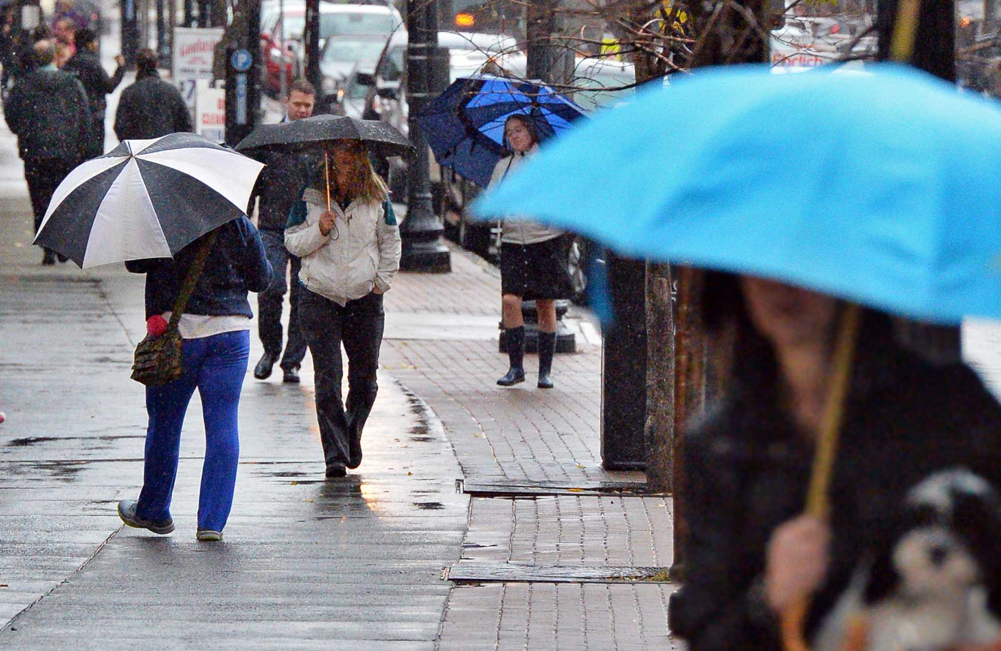 Cool, dreary? This is spring in Albany area