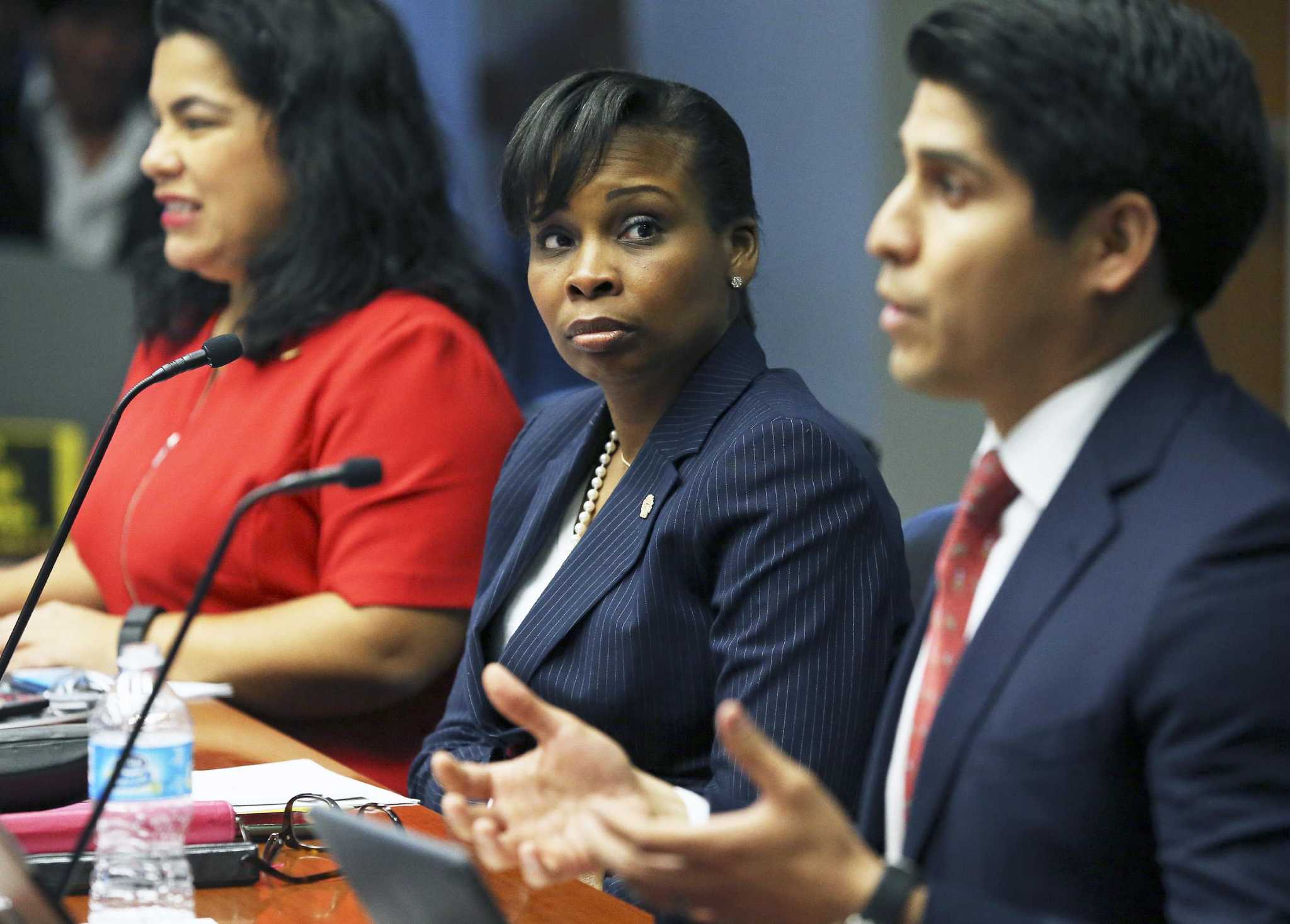 Council splits on Planning Commission appointments