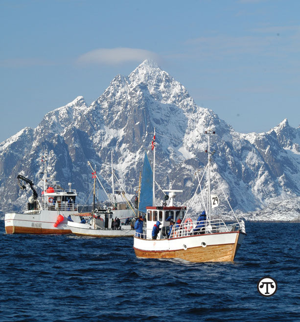 How To Eat Responsibly