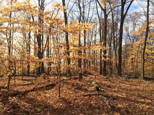 Brown County lines up fall events